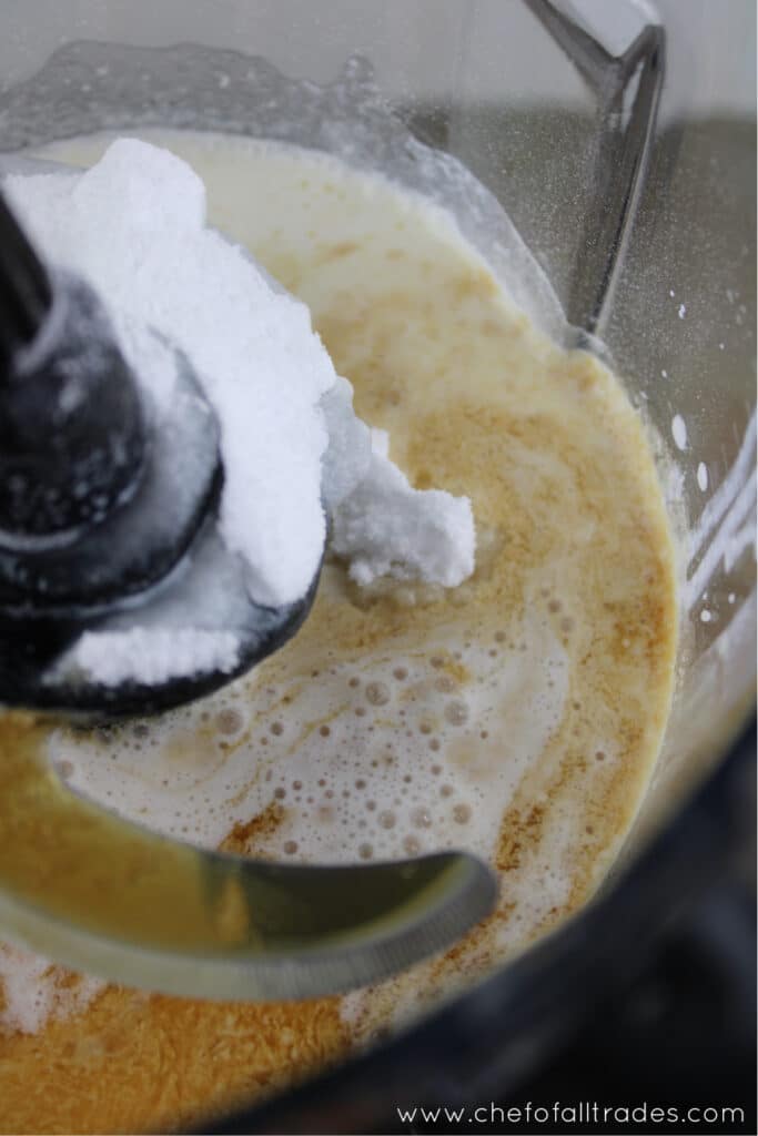 Edible Chocolate Chip Cookie Dough - With Gentle Sweet & Baking Blend